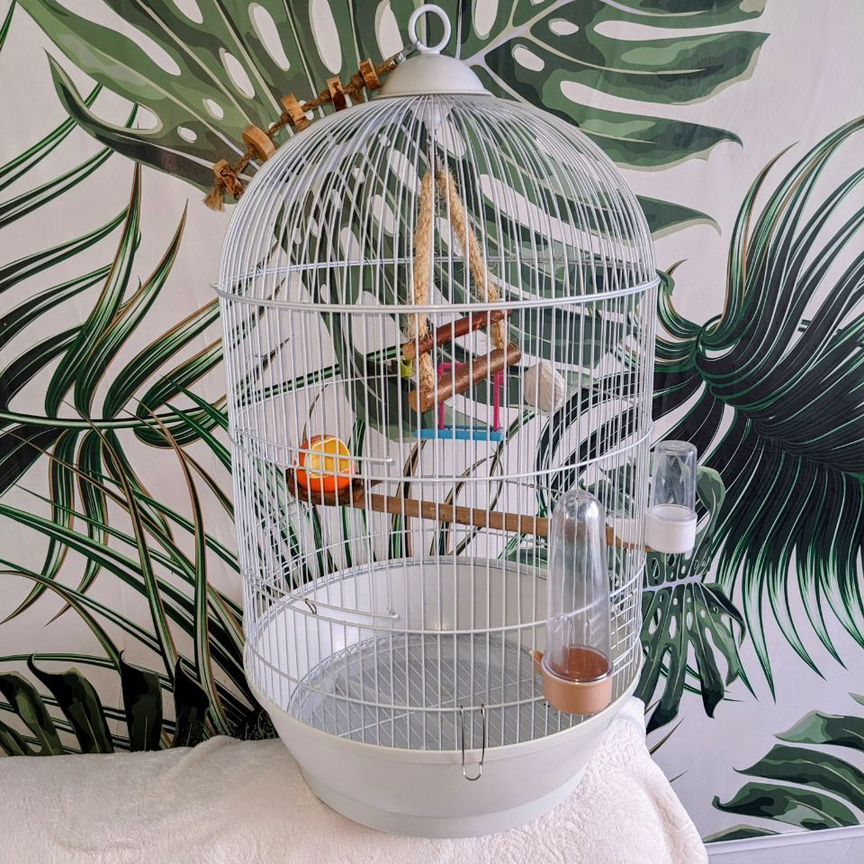 Большая клетка для попугая