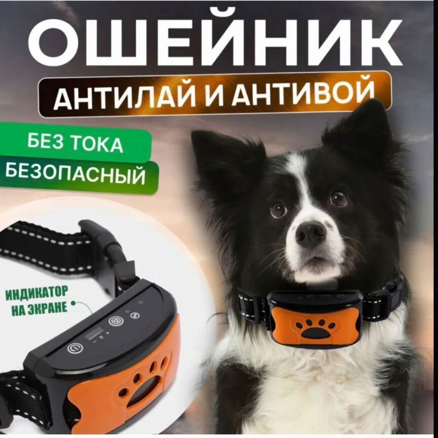 Ошейник антилай