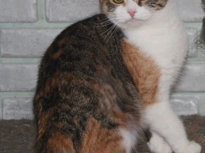 Девочка подросток