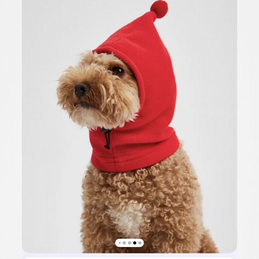 Шапка для собаки