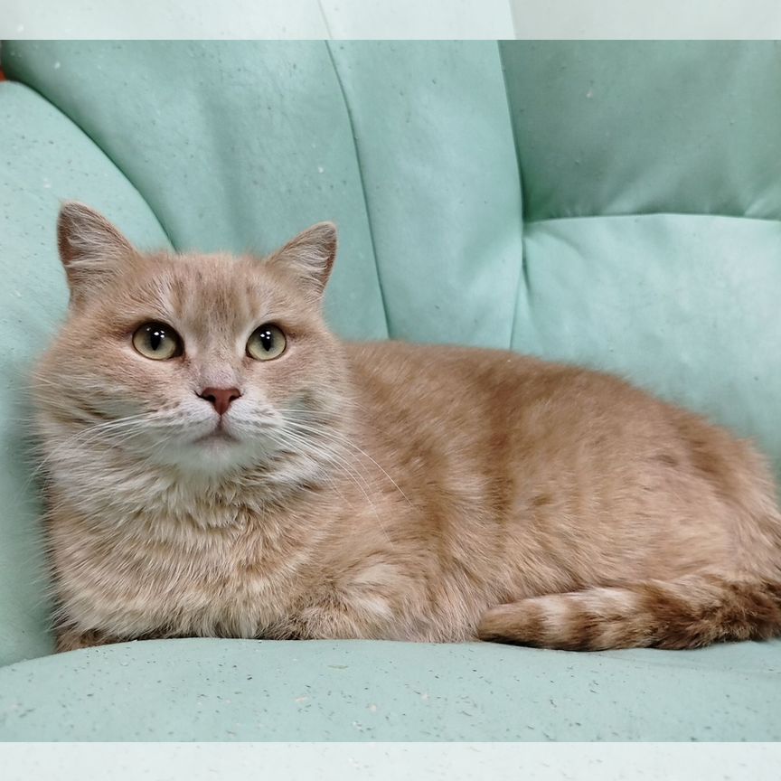 Солнце в добрые руки