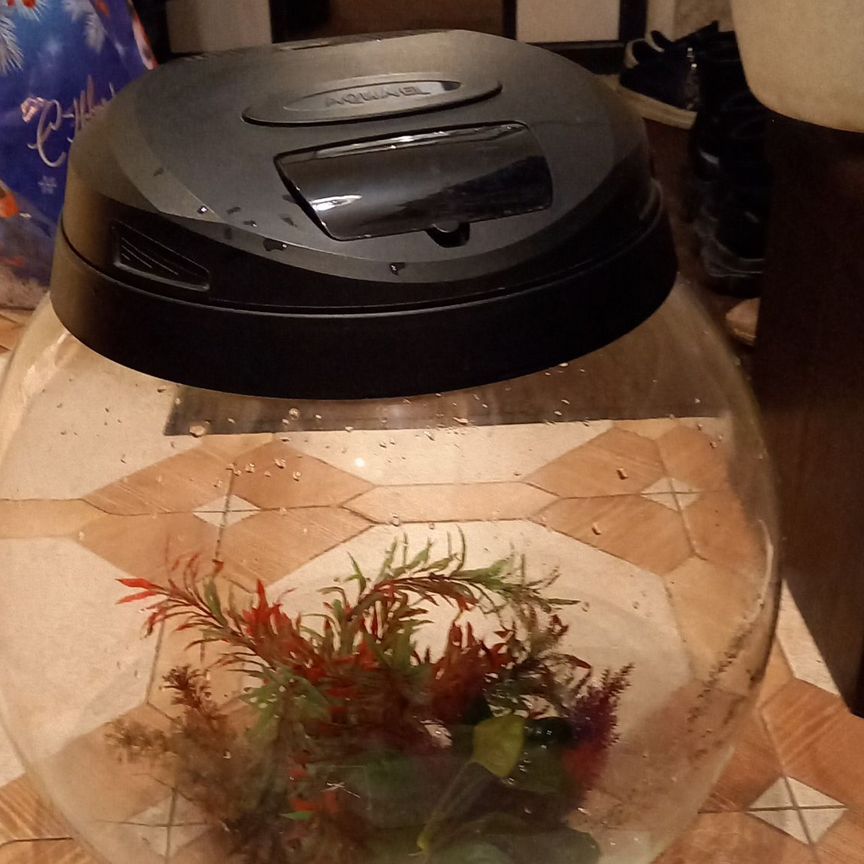 Аквариум с грунтом и растениями