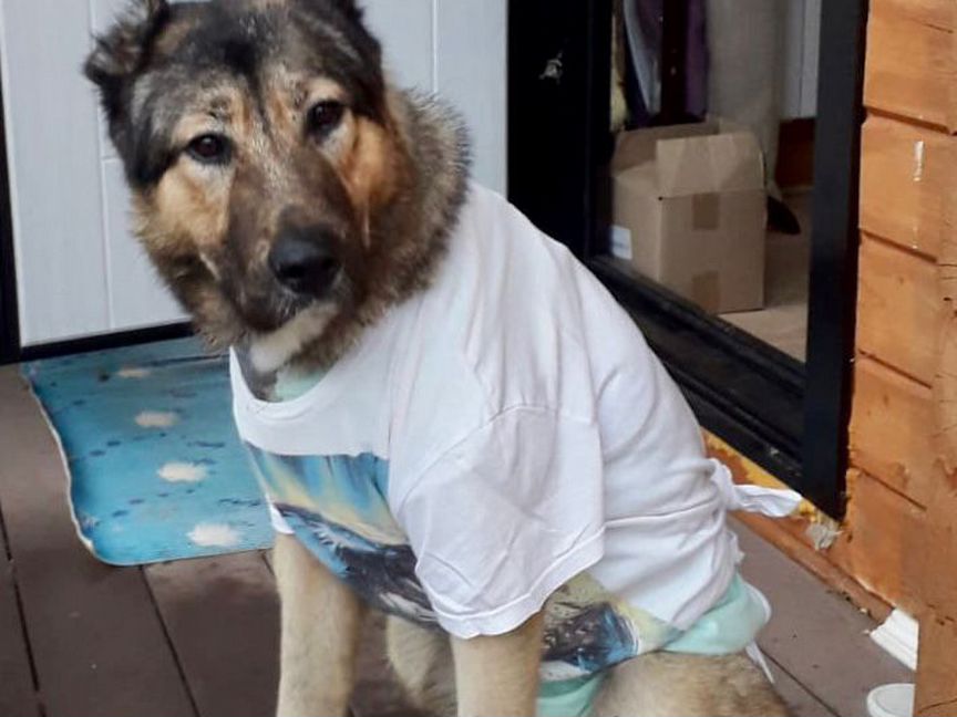 Ищем самое доброе сердце