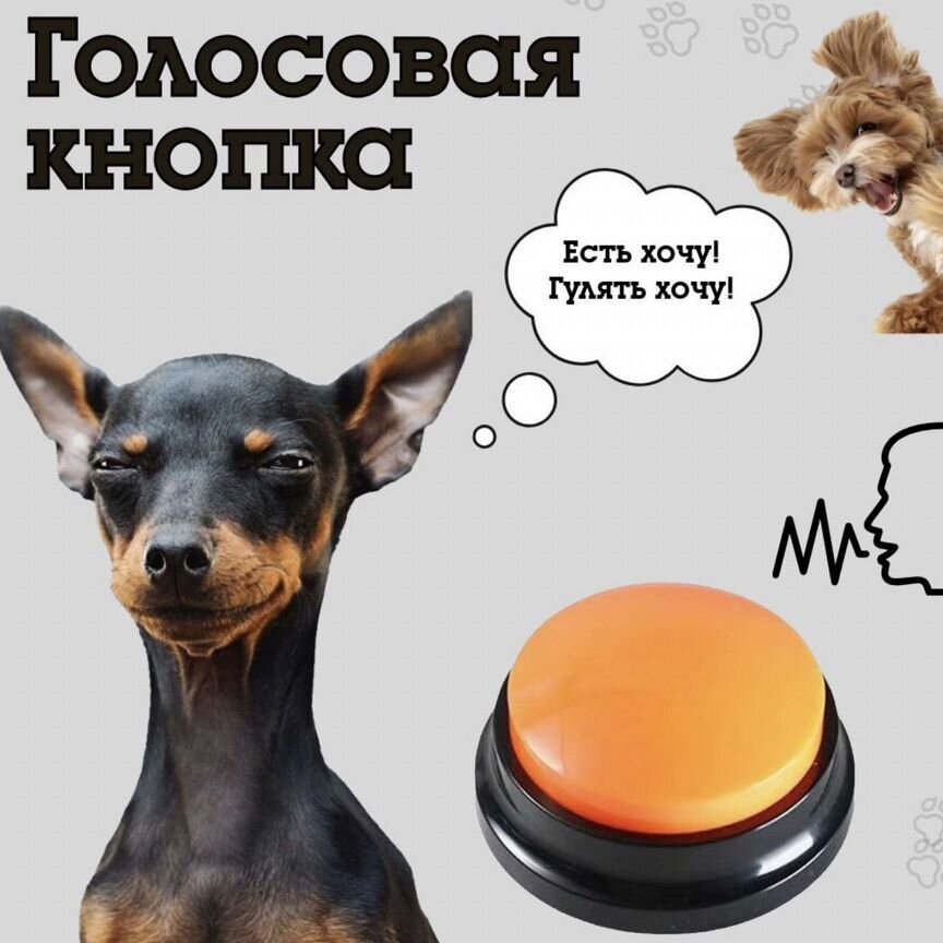 Голосовая кнопка для собак