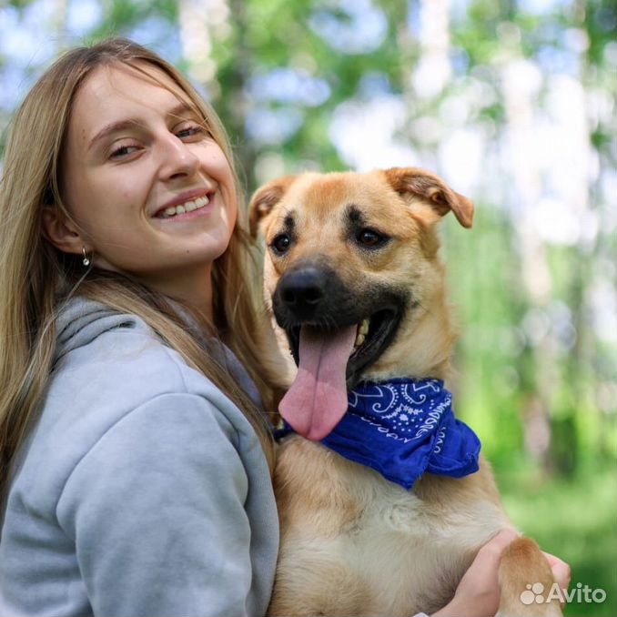 Веселый молодой пес Батлер из приюта ищет дом