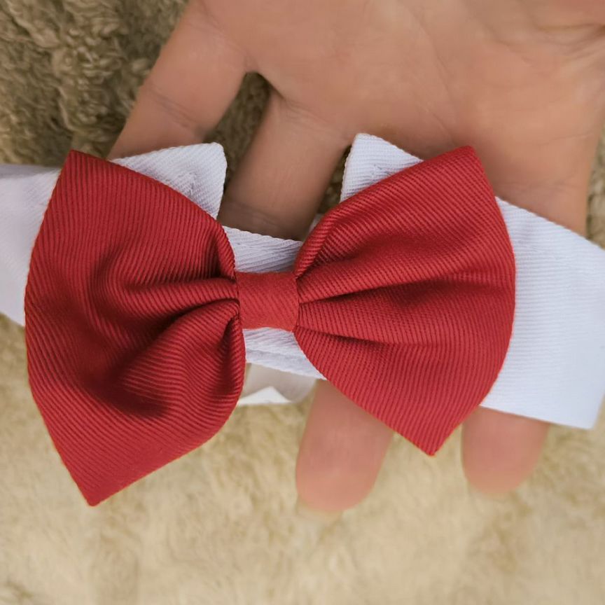 Бант-галстук нарядный для собак и кошек новый