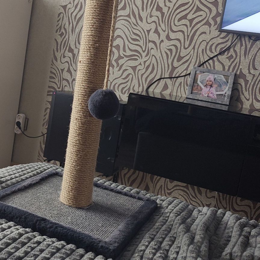 Когтеточка для кошек