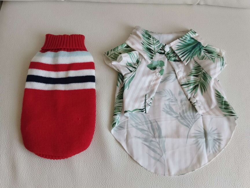 Одежда для животных