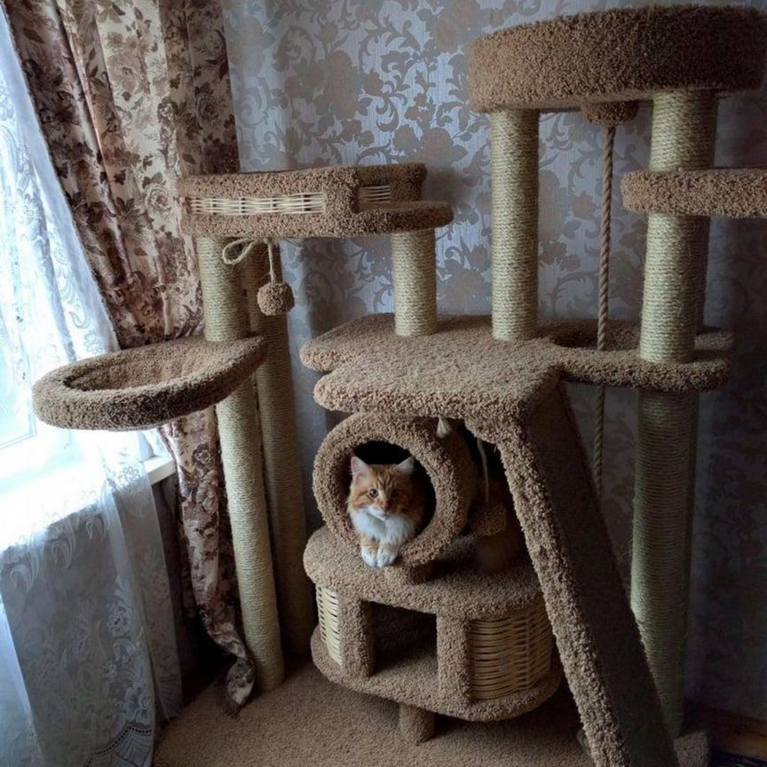 Когтеточка Блуша с домиком,лежанками и гамаками бу