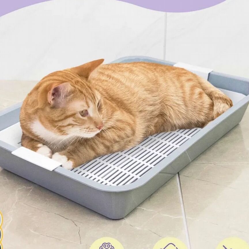 Лоток для кошек