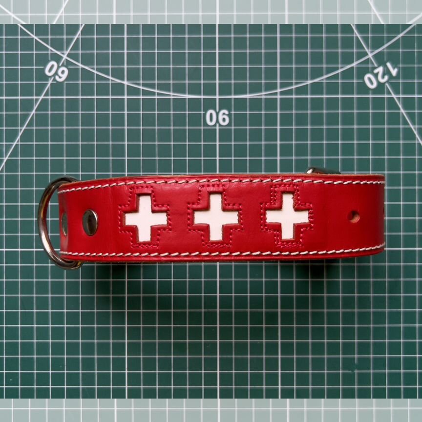 Швейцарский кожаный ошейник Fondation Barry