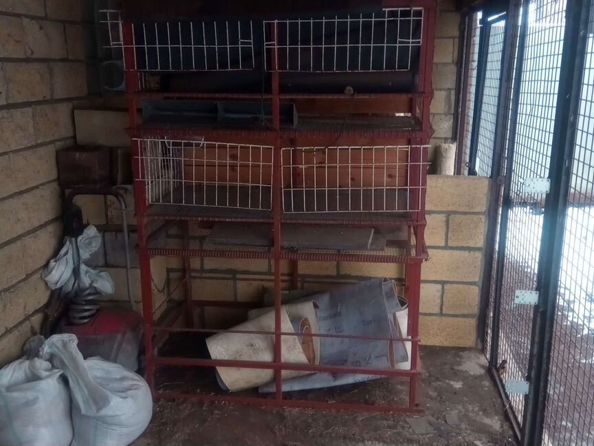 Клетка, брудер для кур