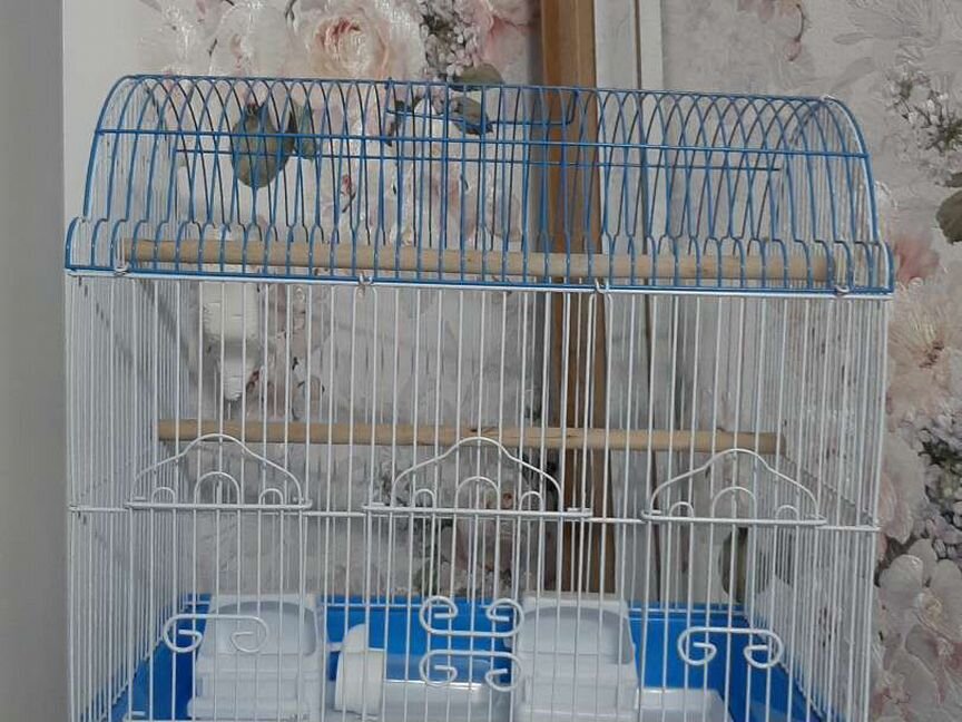 Клетка для попугая бу