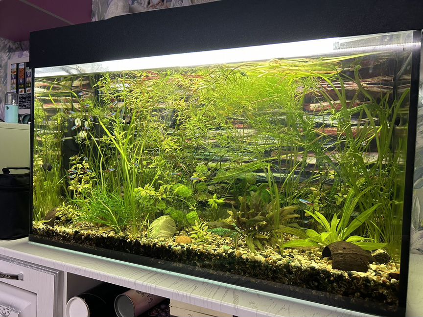 Готовый Аквариум на 120 литров. Без тумбы