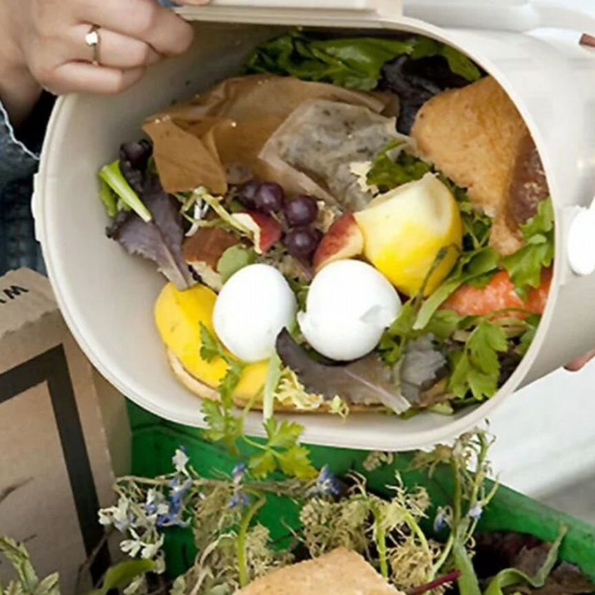 Пищевые отходы для животных бесплатно