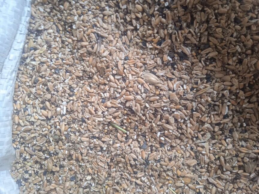 Зерноотходы