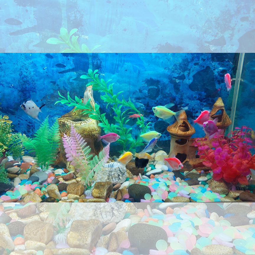 Аквариум с рыбками