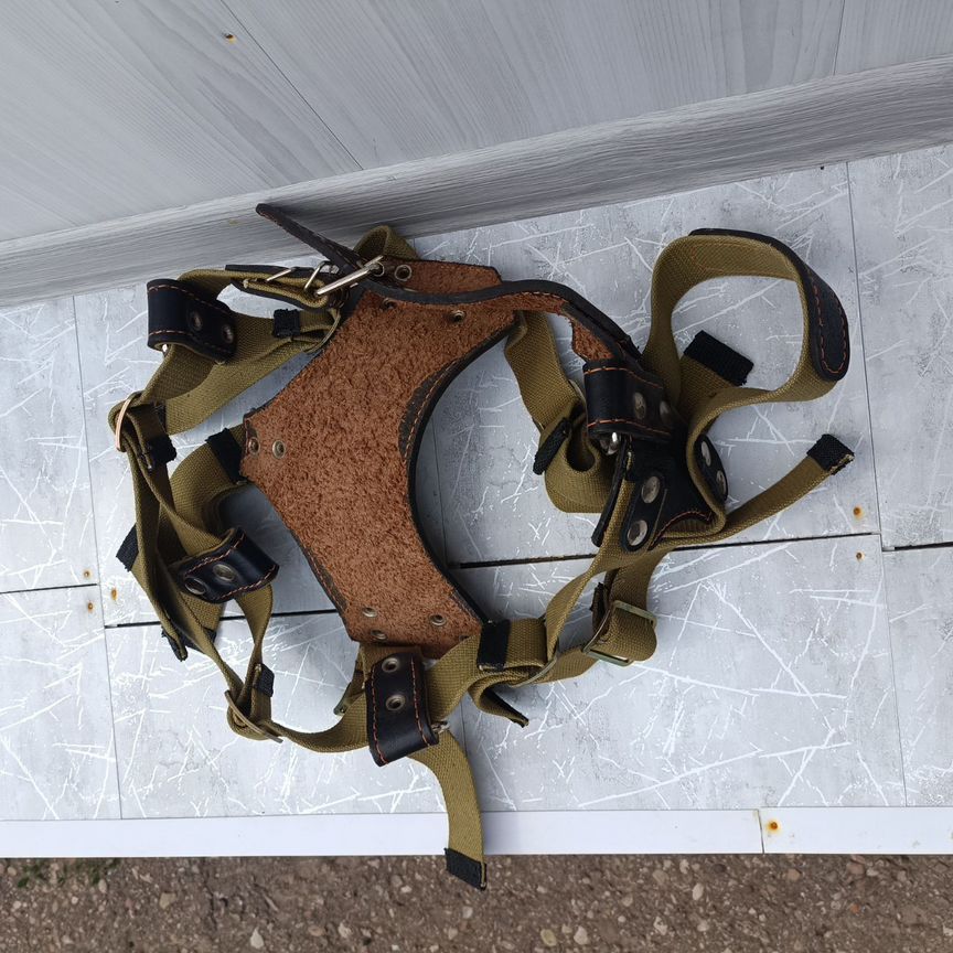 Упряжка для собак