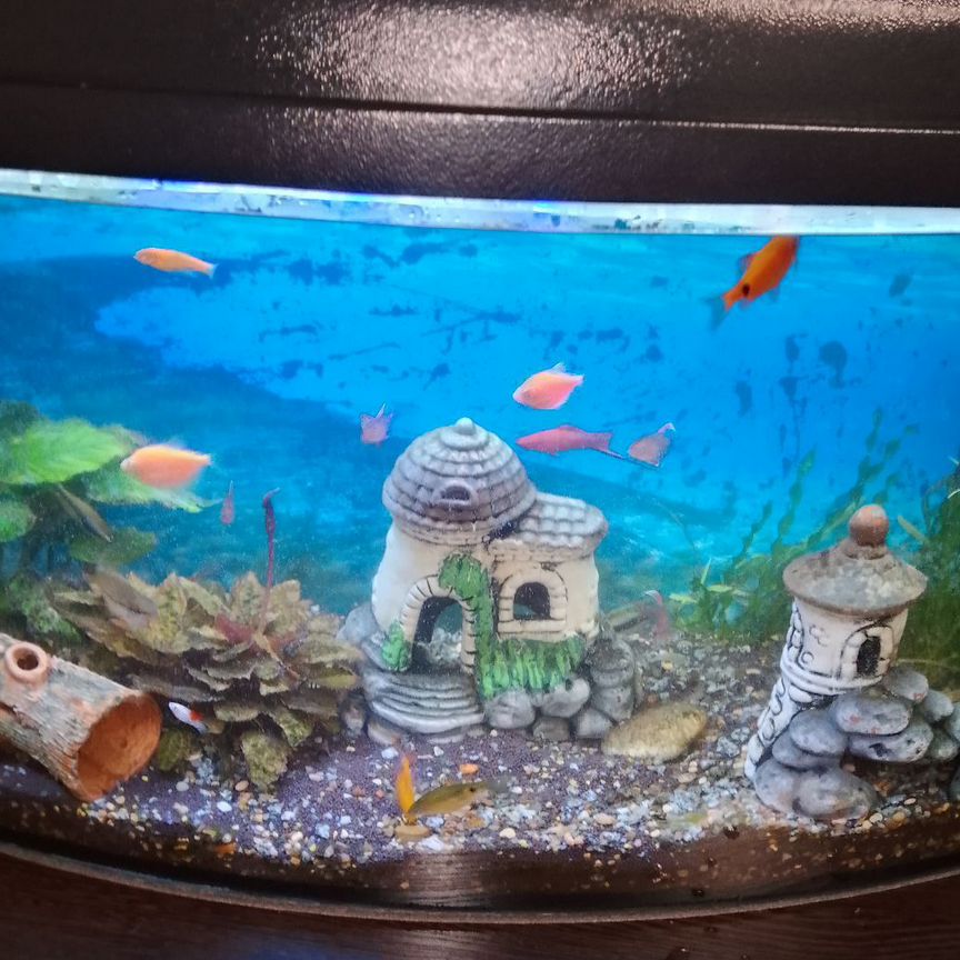 Аквариум