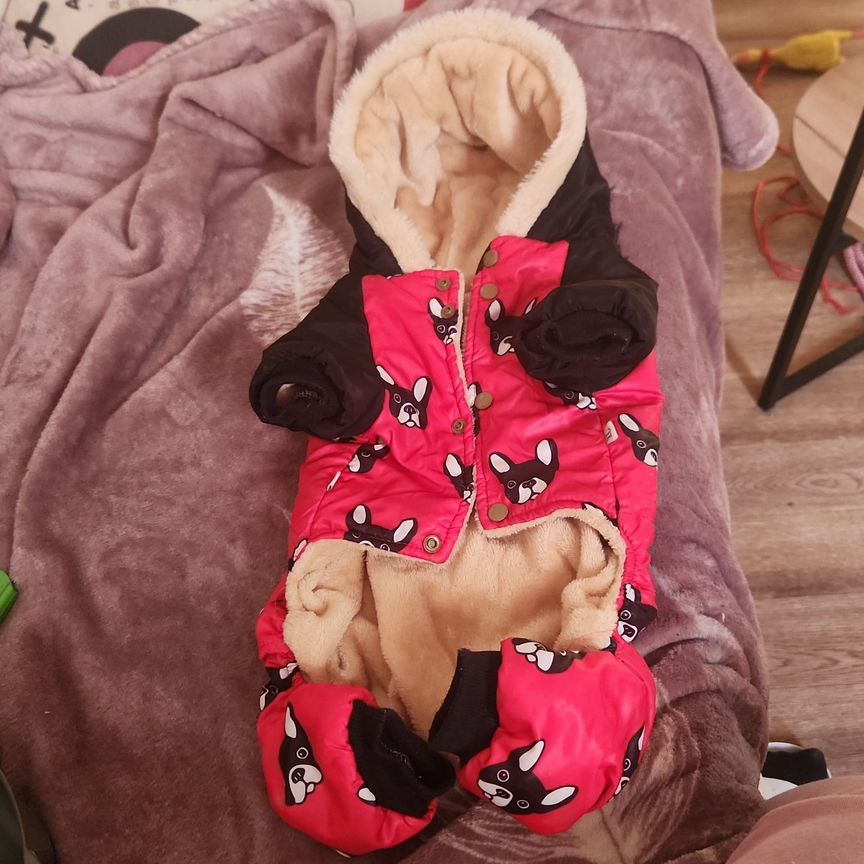 Комбинезон для средней собаки девочки