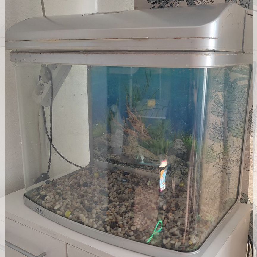 Аквариум 55л