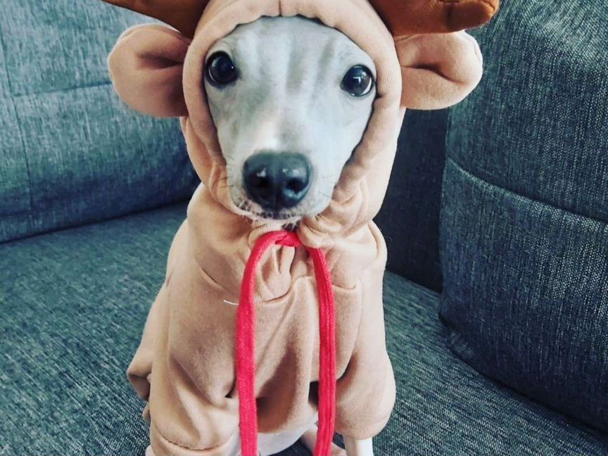 Новогодняя толстовка на флисе