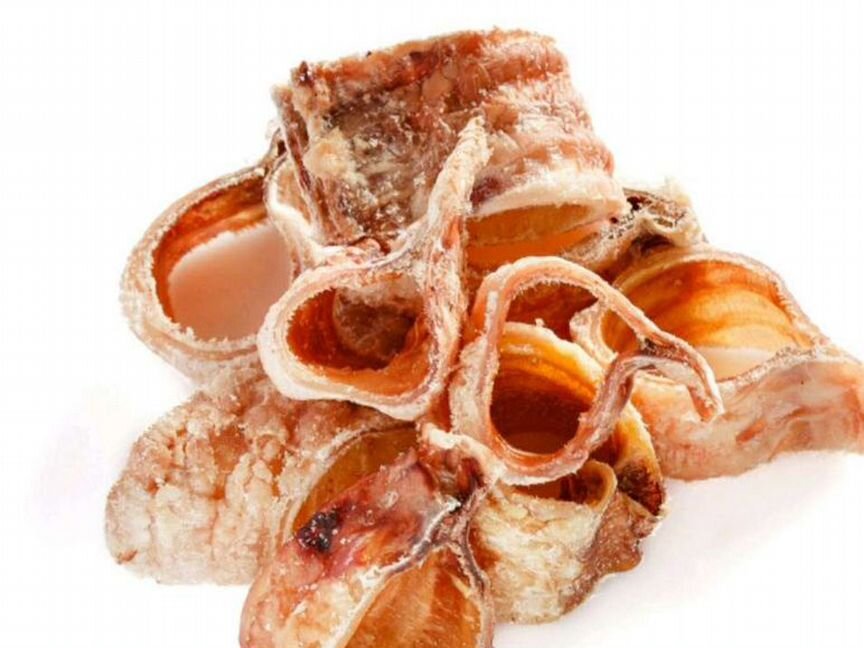 Лакомства для любимых собак