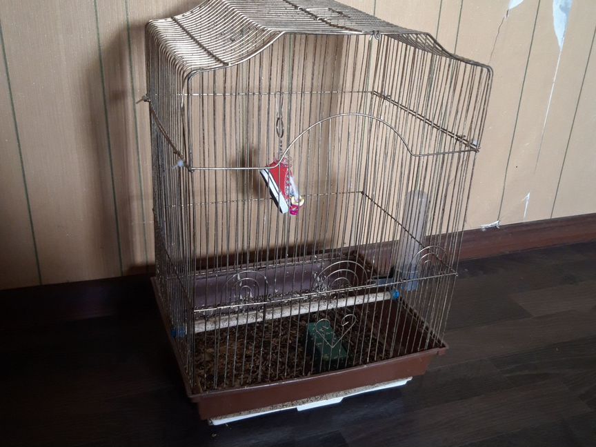 Клетка для попугая бесплатно
