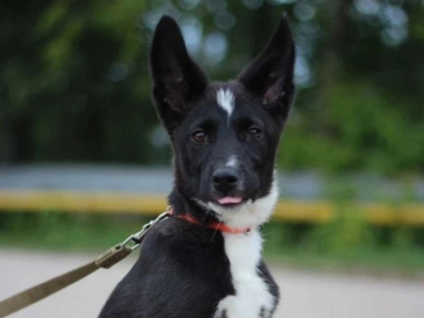 Милая девочка