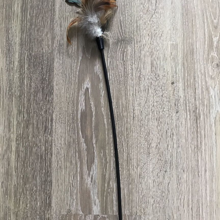 Дразнилка для кошек, перья