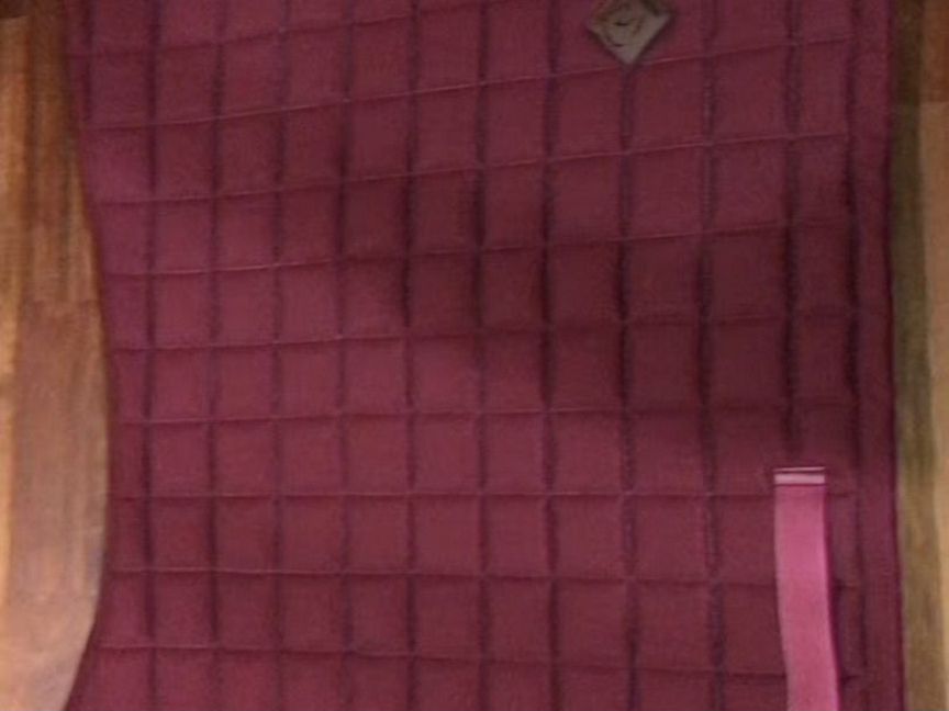 Вальтрап для лошади