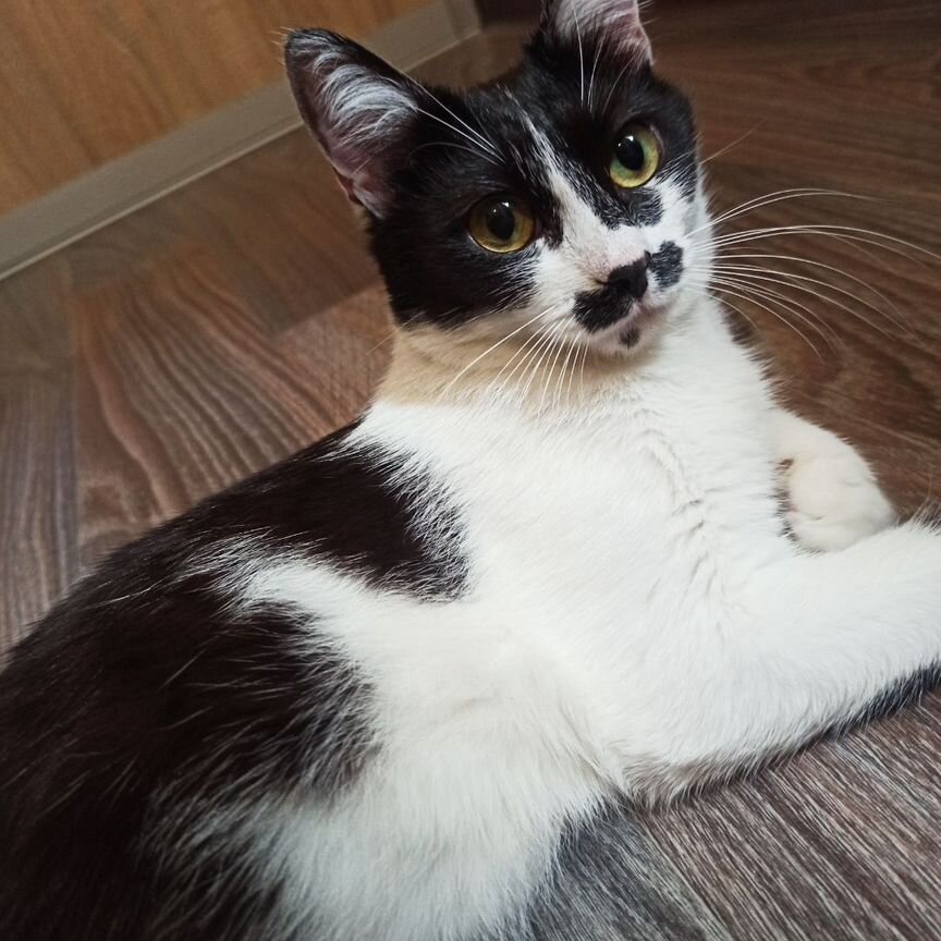 Яся,10месяцев