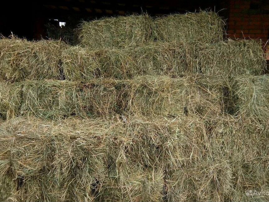 Сено в тюках
