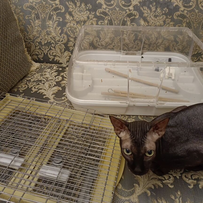 Клетка Vision на запчасти