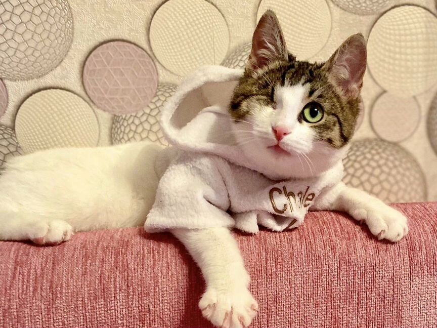 Ангелочек без глазика ищет семью