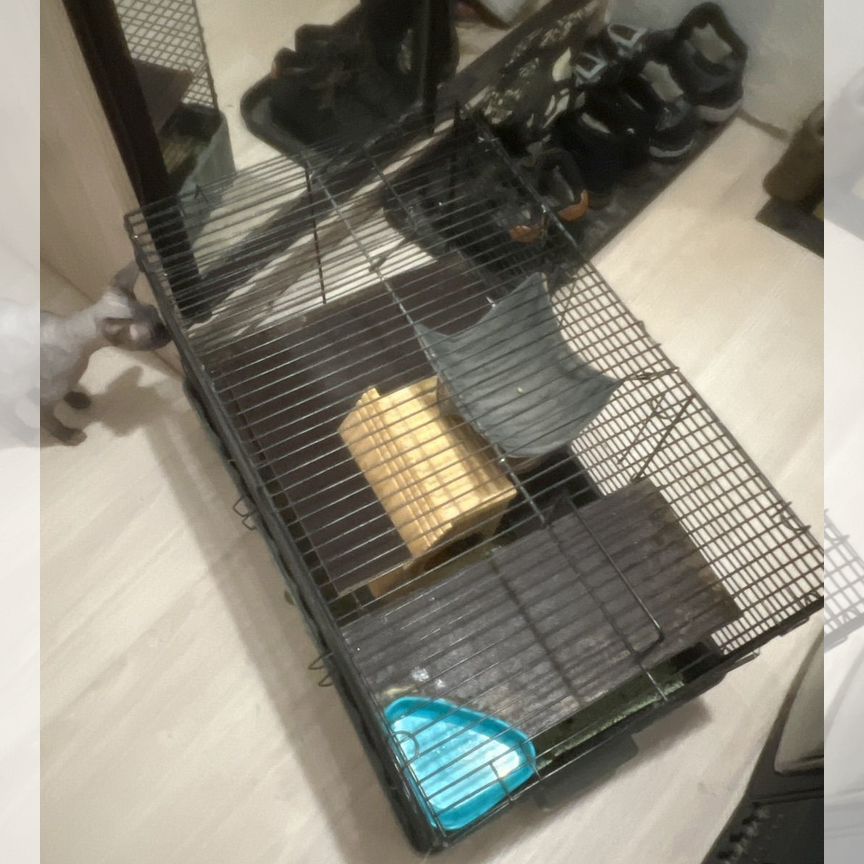 Клетка мечта каждой женщины