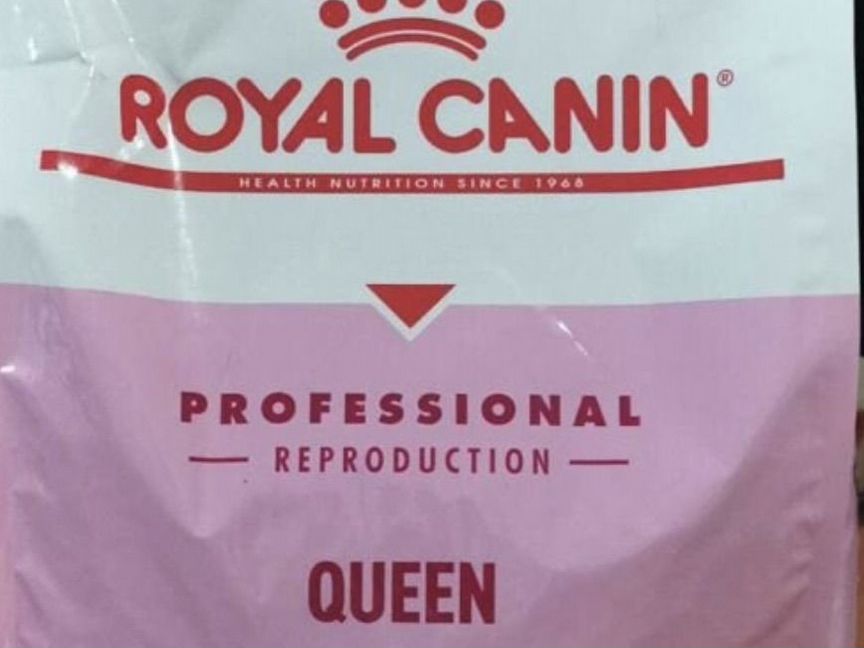 Корм для котят и кошек royal canin Queen