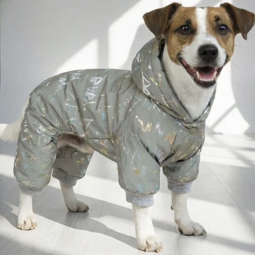 Комбинезон для собаки