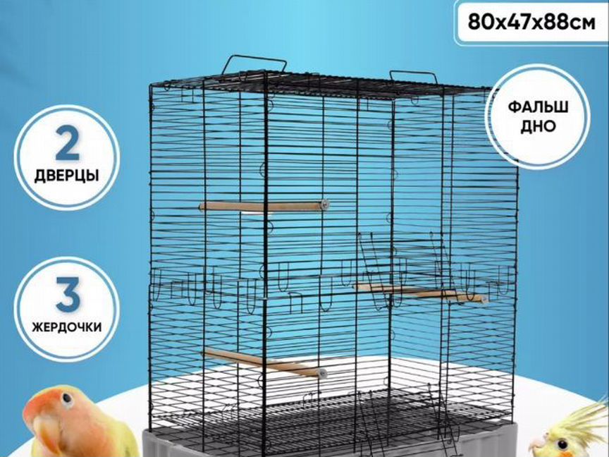 Большая клетка