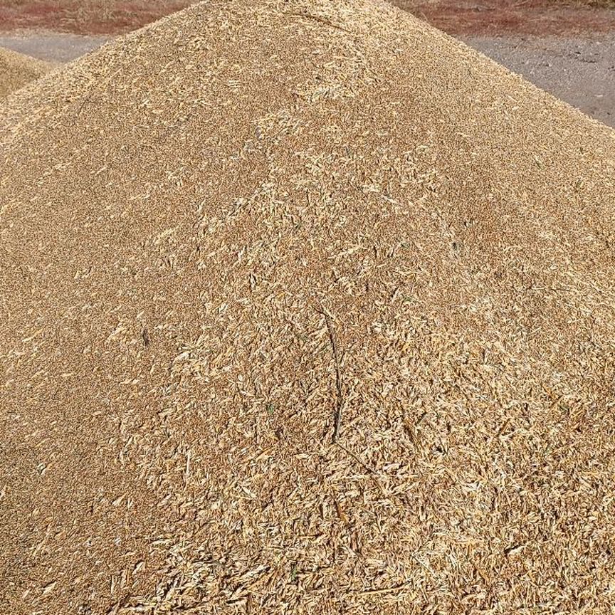 Отходы пшеницы