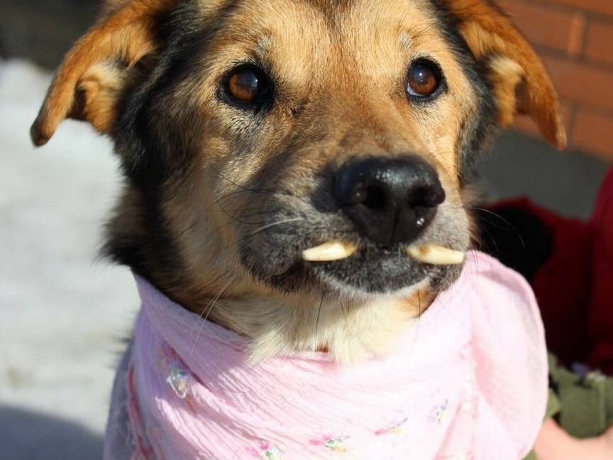 Особенная Зита ждет своего человека