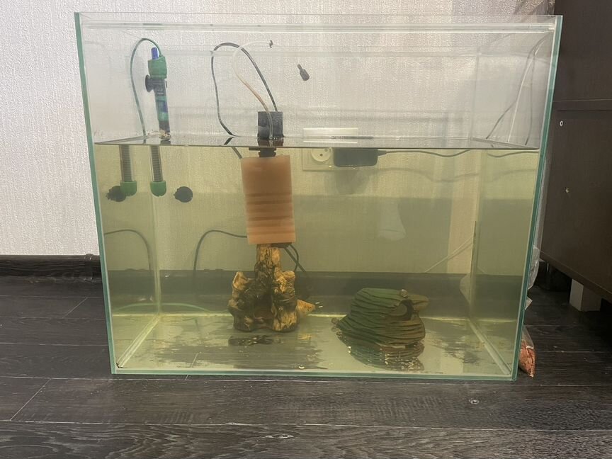 Аквариум с рыбками