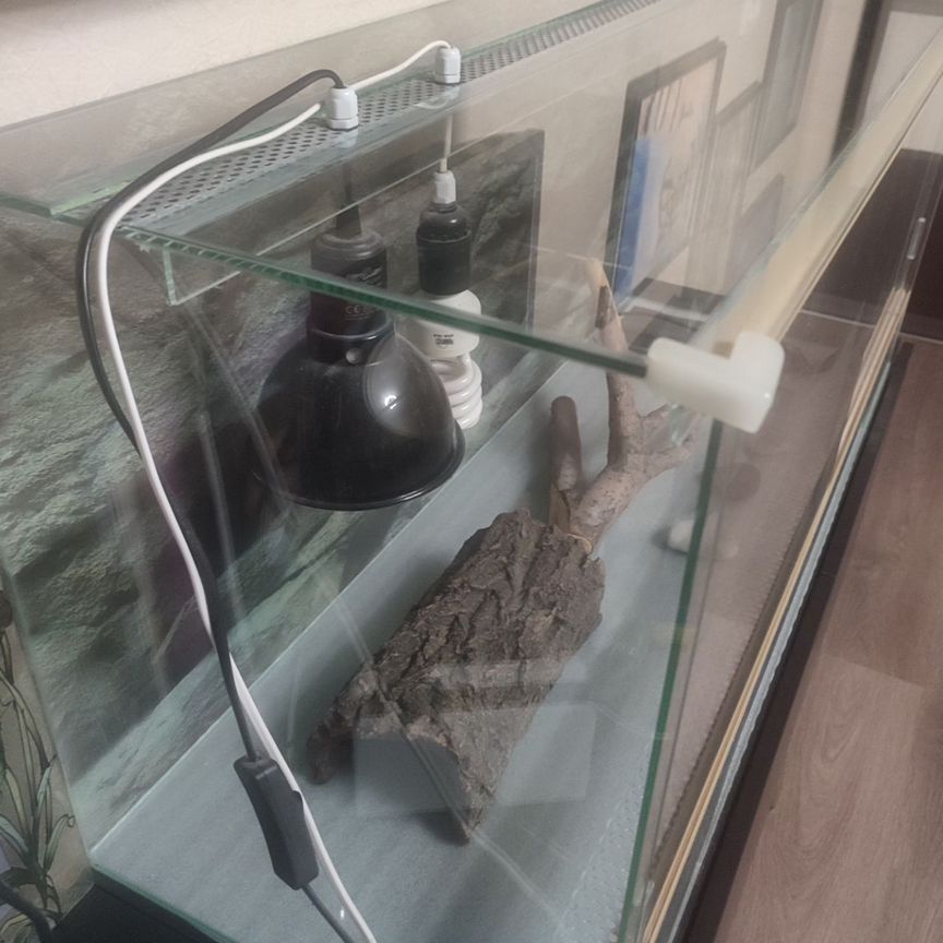 Террариум для рептилий