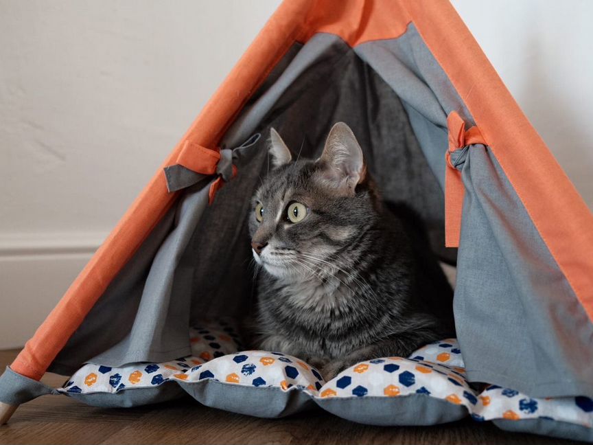 Вигвам, домик для кошек/собак