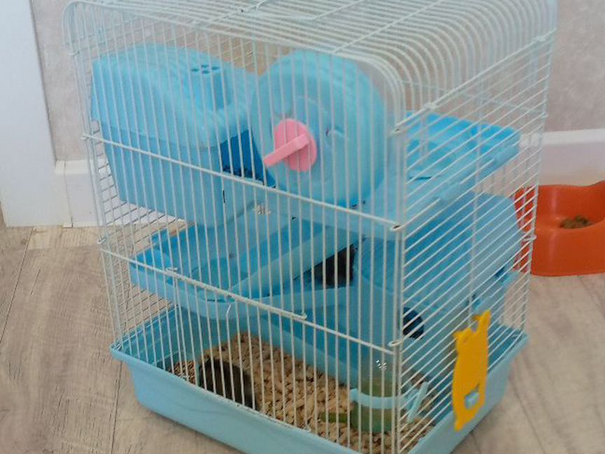 Клетка с хомяками, с прогулочным шаром и кормом