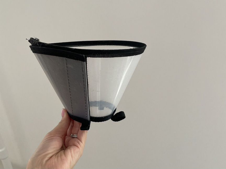 Воротник для котов