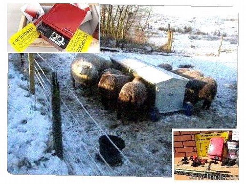 Электропастух