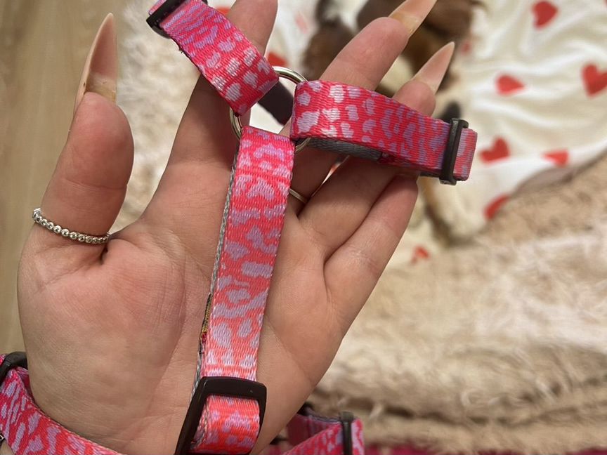 Шлейка для собак