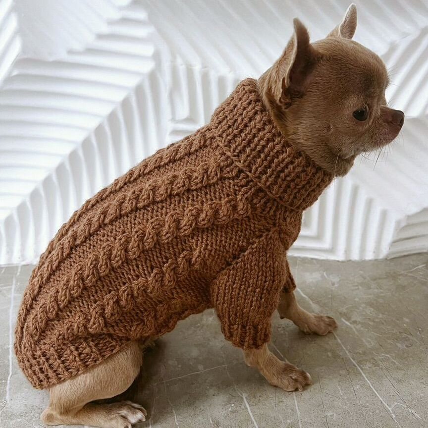 Свитер, одежда для собак