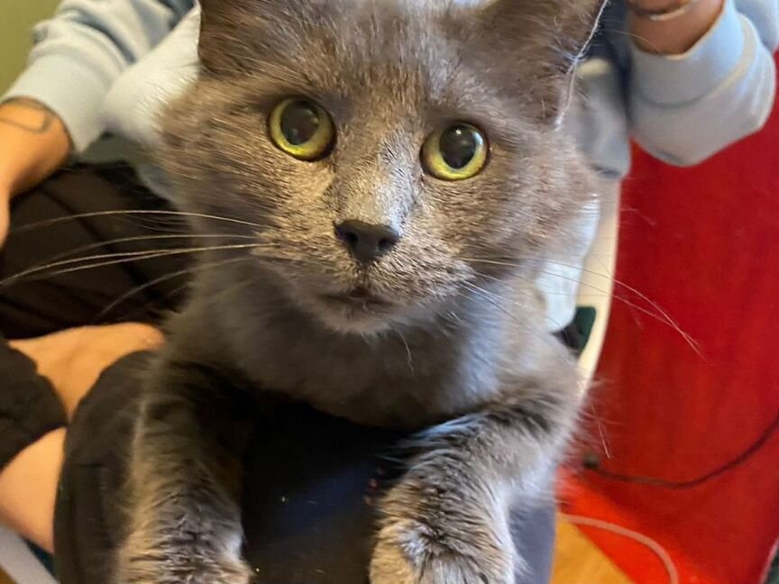 Уже не надеется